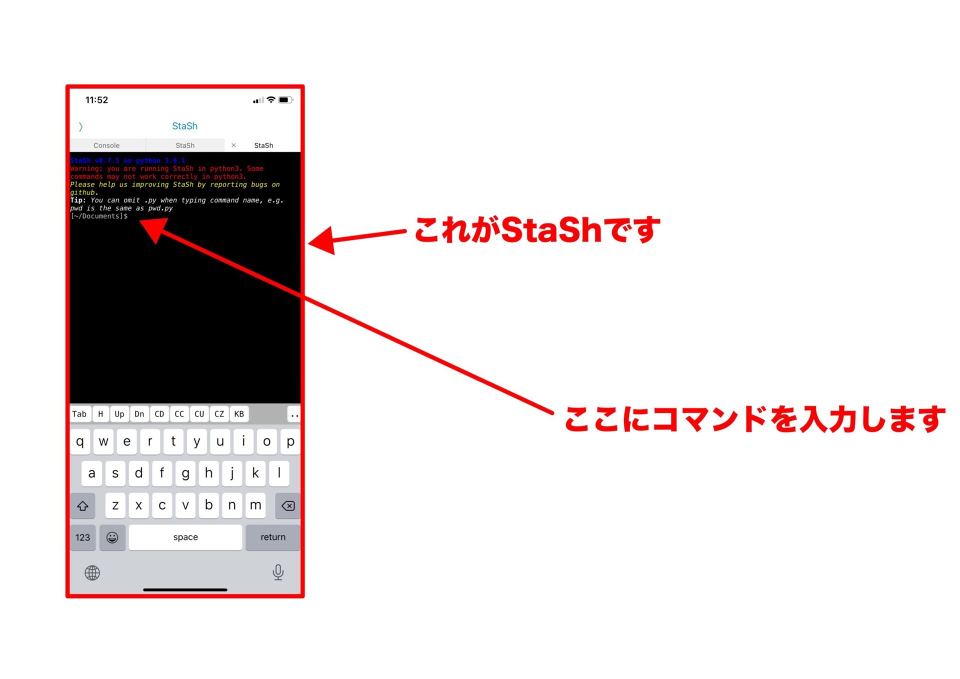 Pythonista3｜iPhoneやiPadでPythonを動かす | DOKUPRO