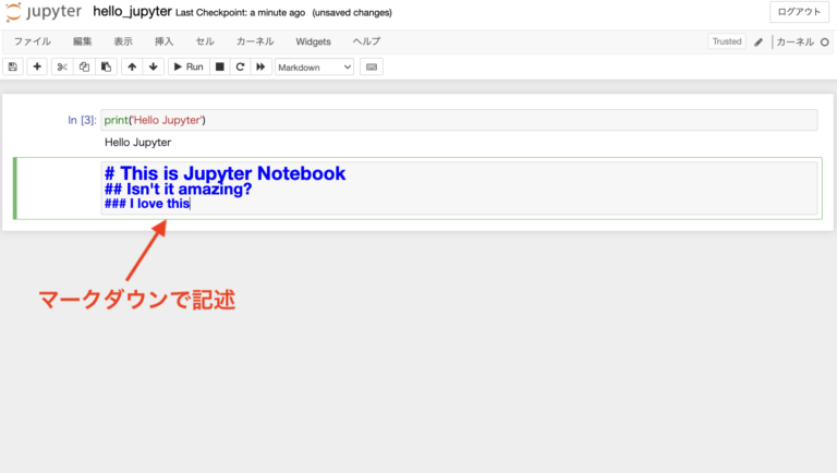 【Python】Jupyter Notebookの使い方 | DOKUPRO